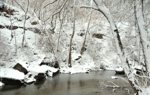 Stories Without a Point - It's Cold - Thaddeus Nowak